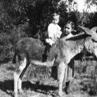 Gallery – Enterprise Rancheria