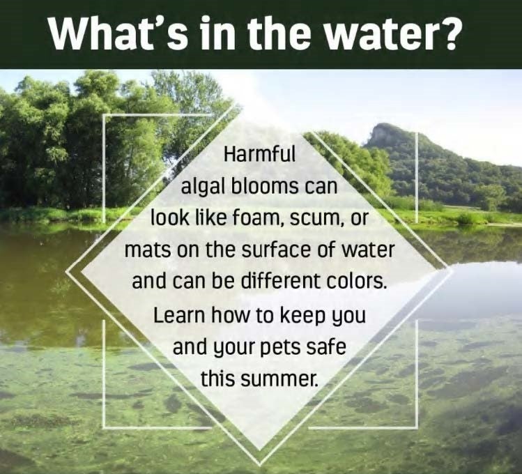 Enterprise Rancheria – Federally Recognized Indian Tribe Since 1915